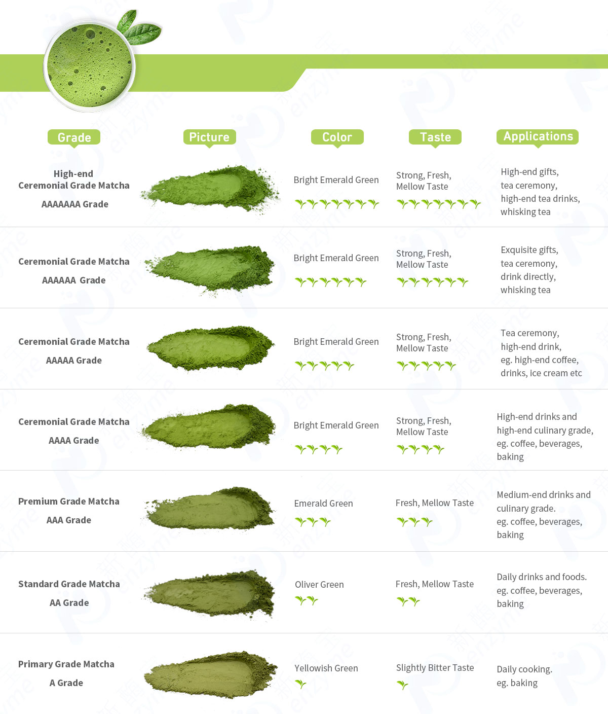 Matcha Powder Wholesale, Bulk Green Matcha Tea Powder Supplier-Novenzyme