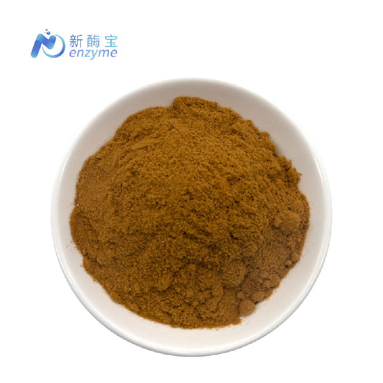 Organic Lion's Mane Mushroom Extract Powder Supplier-Novenzyme