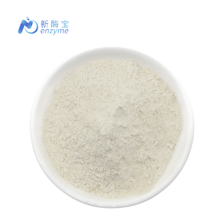 DHA 98% Powder Supplier-Novenzyme