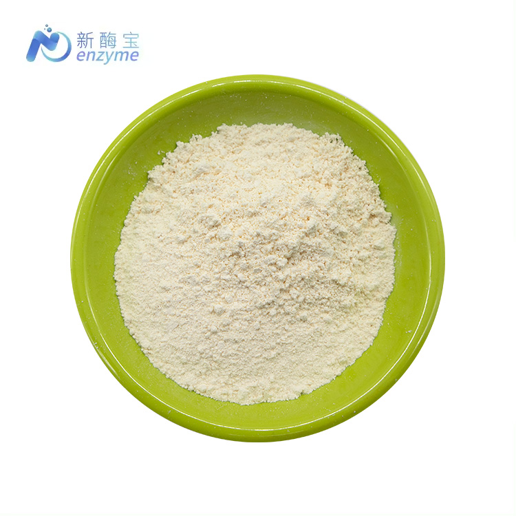 Wholesale Pimaricin Powder, Natamycin Supplier-Novenzyme